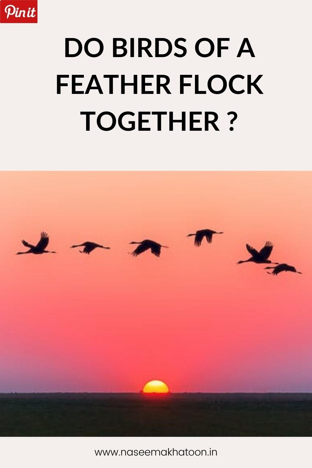 BIRDS OF A FEATHER FLOCK TOGETHER! HOW DOES IT AFFECT OUR LIVES ...